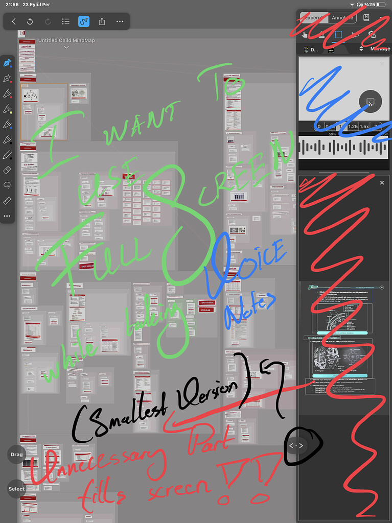 Taking Voice (mp3) notes in FULL SCREEN (without unnecessary parts of ...