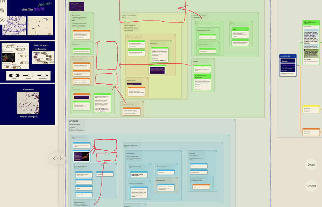 Suggestions for mind map location - Feature Requests - Marginnote