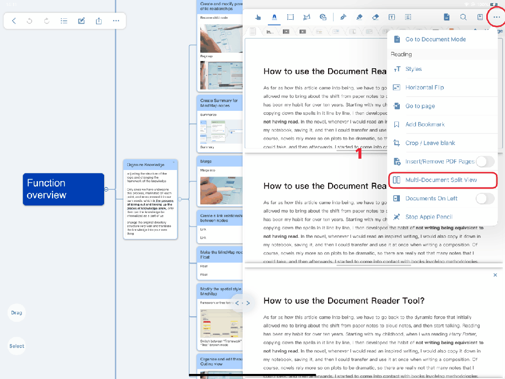 Split view - Study Module - Marginnote
